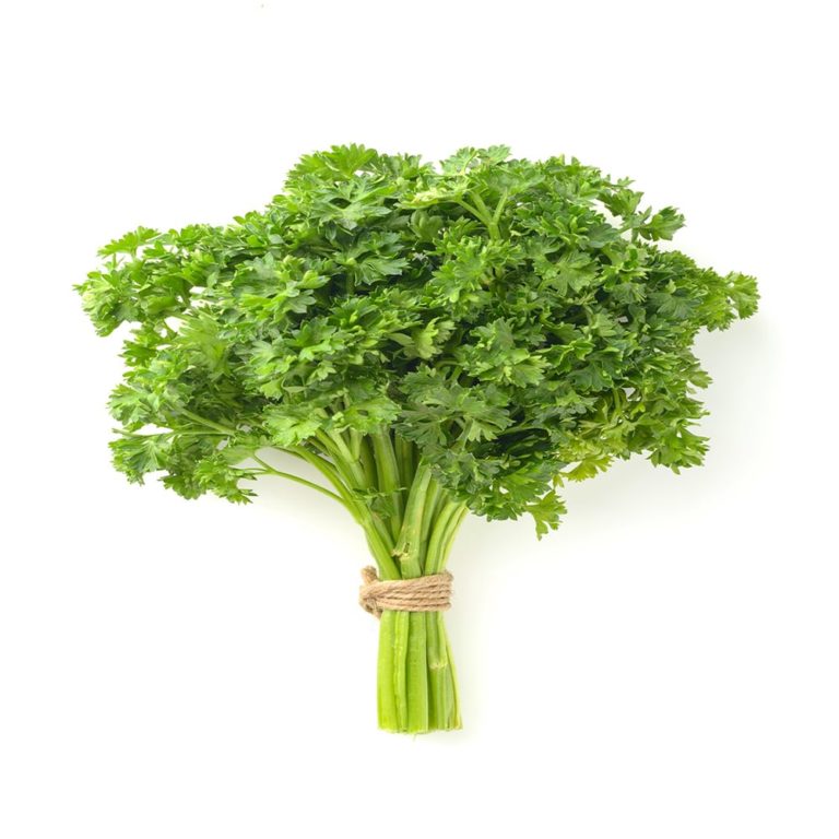 Botte de Persil d’alsace 🕑 – Autour du local